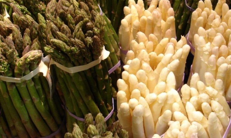 How to Grow Asparagus: Planting, Growing, Harvesting and More | Farming ...