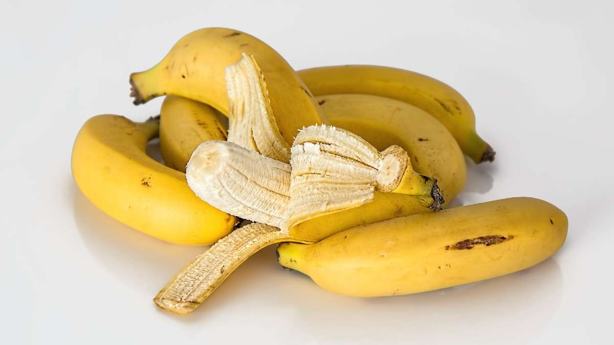 Which Fruit Has No Seed And No Outer Cover Farming Base