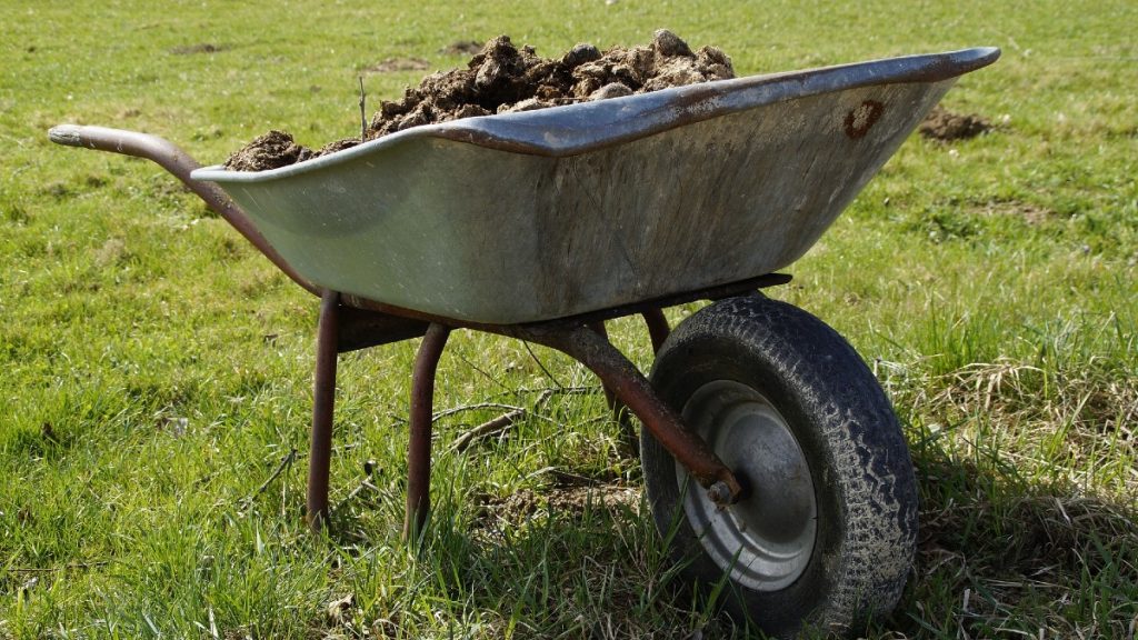 Can You Potty Train A Cow Farming Base