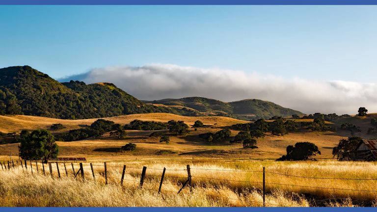 How Many Acres is Considered a Ranch | Farming Base