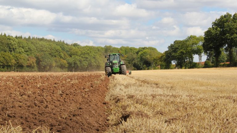 Differences Between Sharecroppers and Tenant Farmers | Farming Base