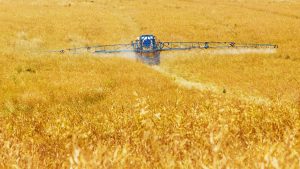 How Do Farmers Grow Crops? Step by Step | Farming Base