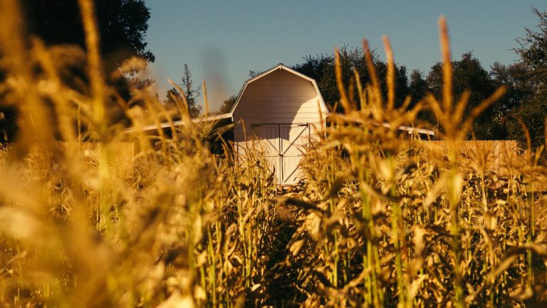 How Do Farmers Sell Their Crops? | Farming Base