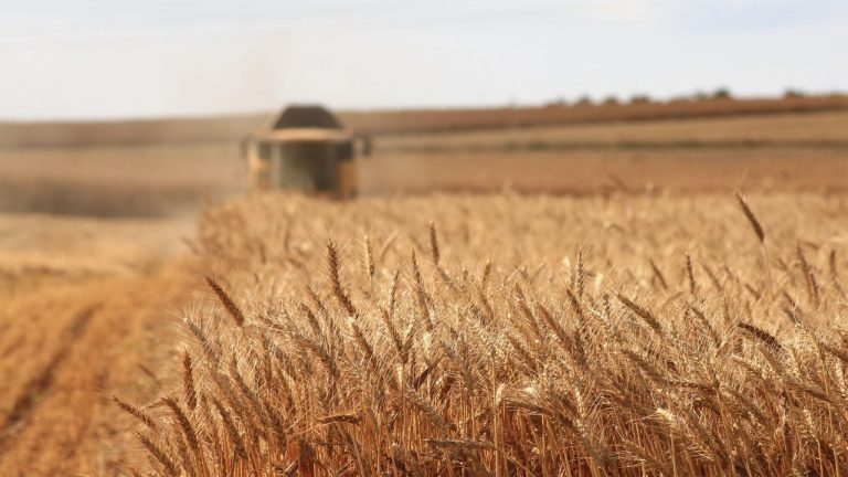 What Does a Farmer Do on the Farm? | Farming Base