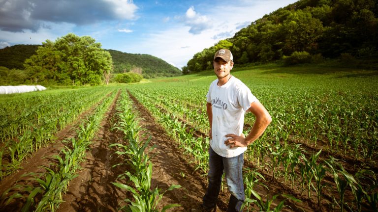 What Does a Farmer Do on the Farm? | Farming Base