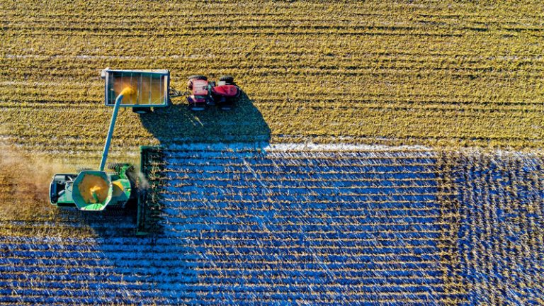 What Is the Green Revolution? - Definition, Benefits, Techniques, and ...