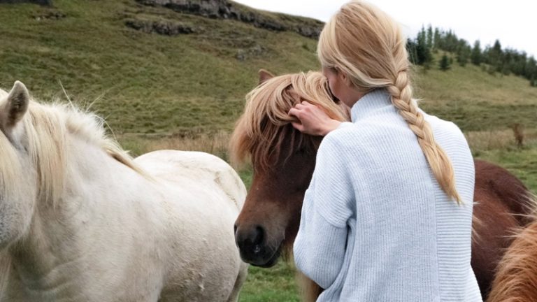 How Do Farm Animals Help Us And What Is Their Use? | Farming Base