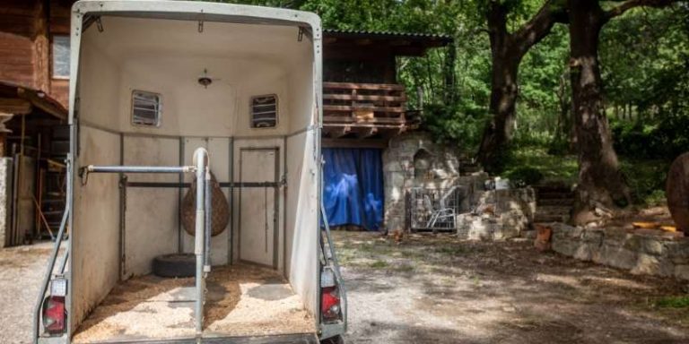 Livestock Trailer Rental, Can You Rent a Livestock Trailer? | Farming Base