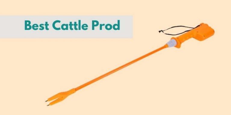 The 5 Best Cattle Prod in 2022 | Farming Base