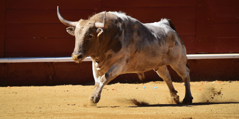 Why Do Bulls Get Angry? 3 Reasons | Farming Base
