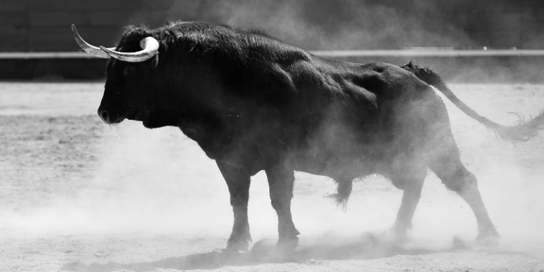 Are Bulls Color Blind? 3 Colors Test | Farming Base