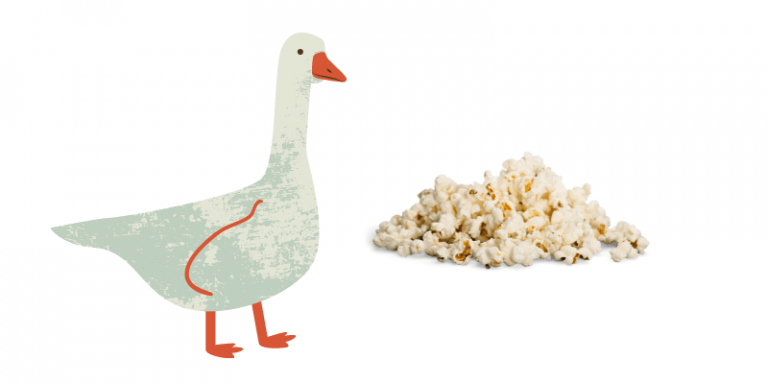 Can Geese eat Popcorn? (Benefits & Risks) | Farming Base